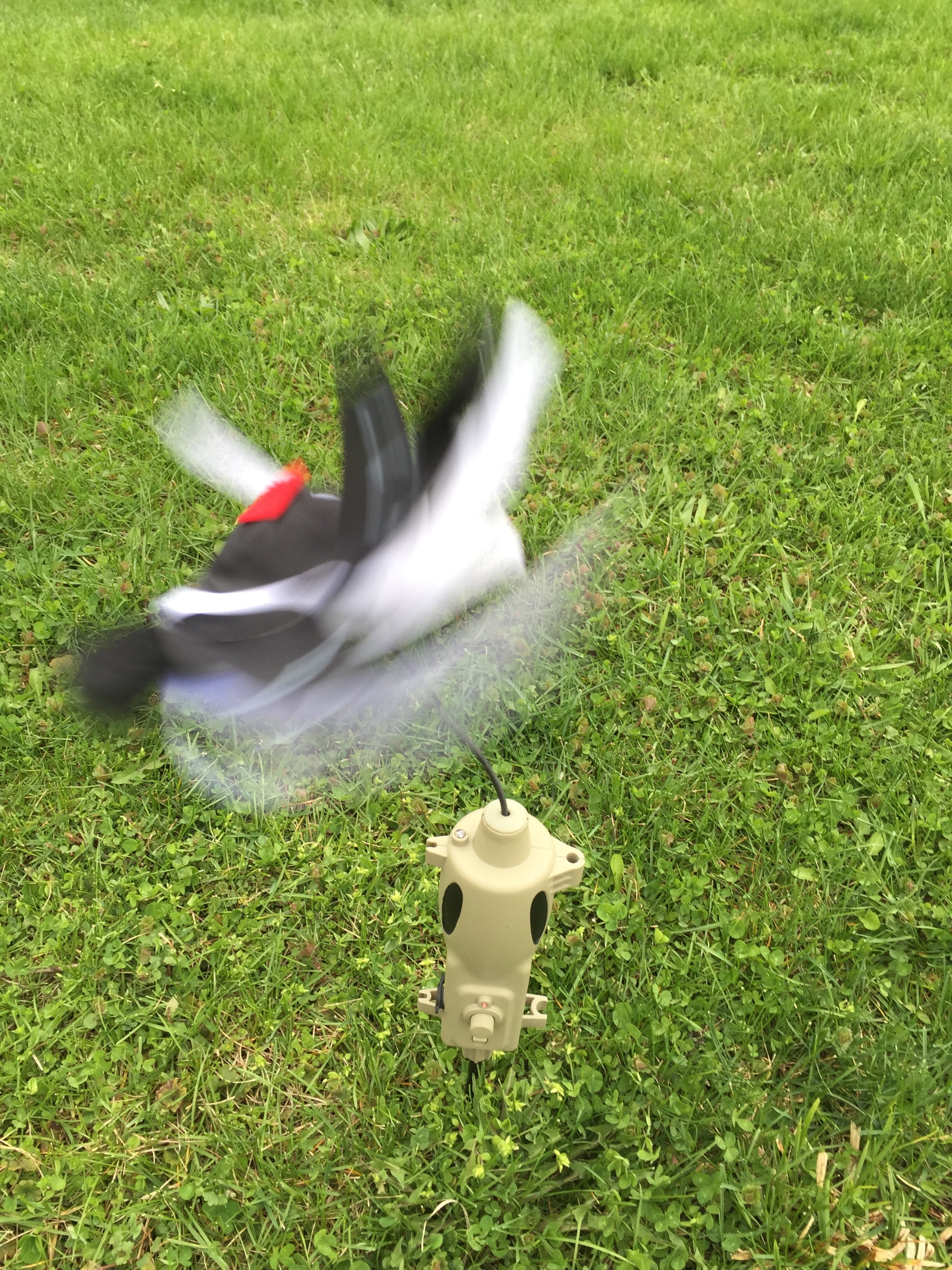 PD200 Universal Predator Decoy – ICOtec