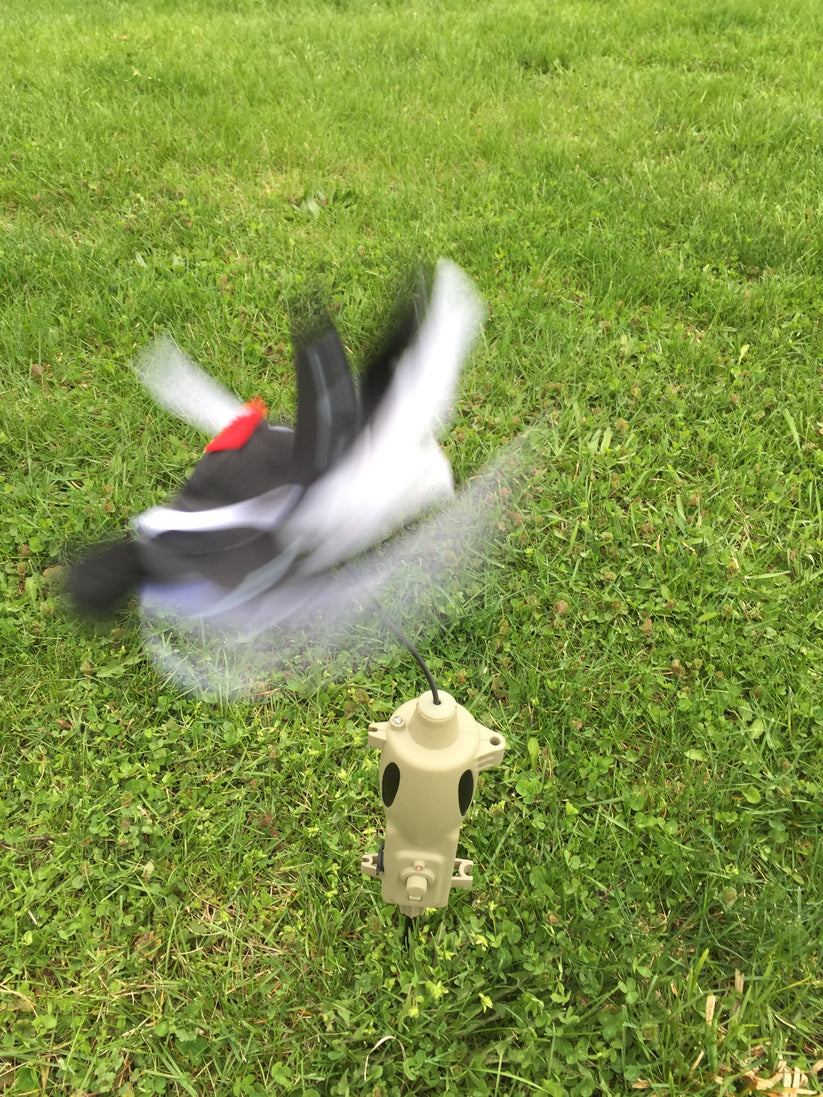 PD200 Universal Predator Decoy – ICOtec